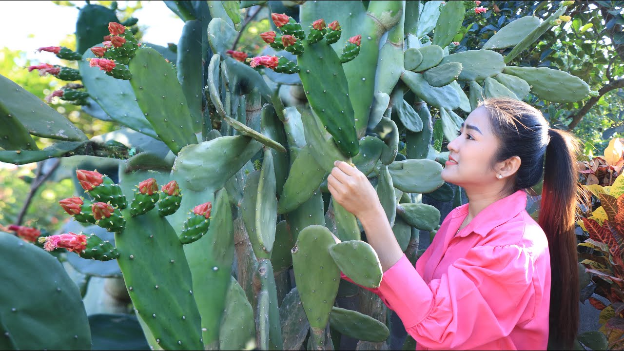 Have you ever eaten cactus before? / Yummy grilled cactus and grilled ...