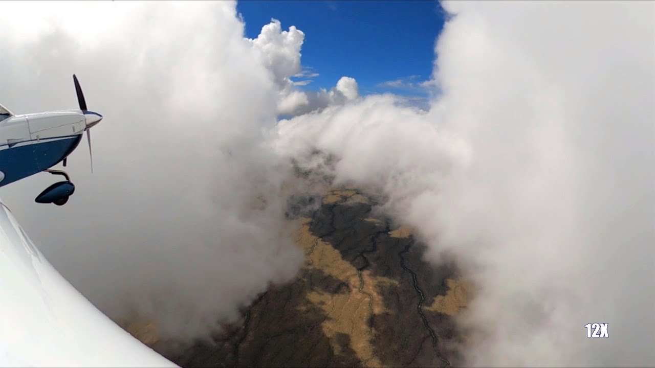 Desert Tiger - YouTube