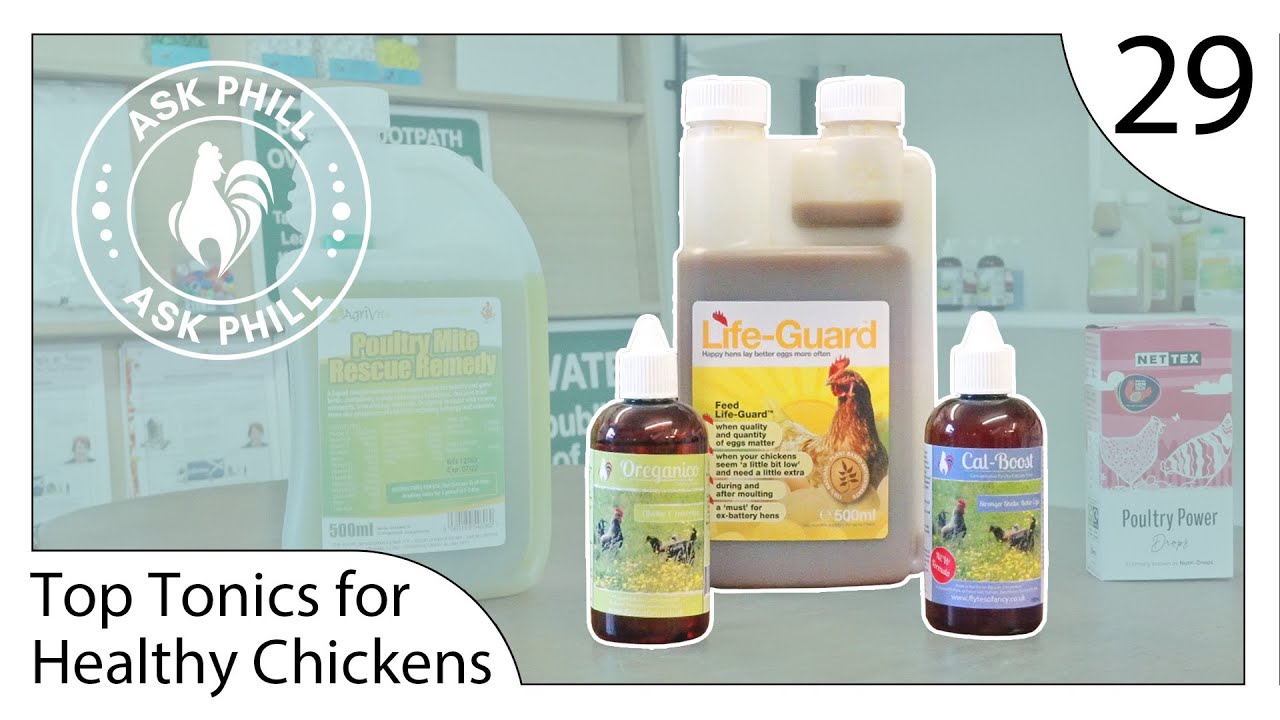 Top 5 Tonics for Healthy Chickens - Ask Phill 29 - YouTube