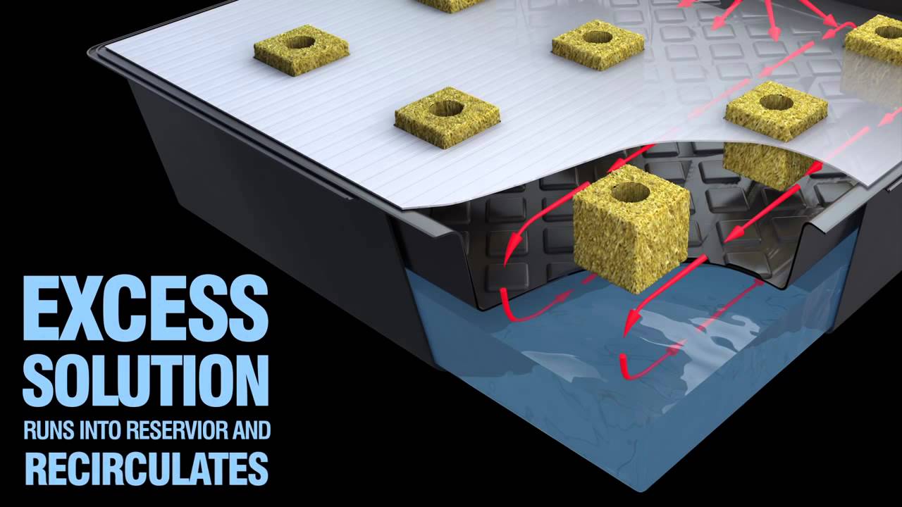 NFT Hydroponic System Gro-Tank GT Nutriculture - YouTube
