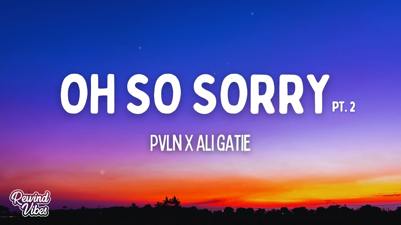 PVLN x Ali Gatie - Oh So Sorry Pt. 2 (Lyrics) "Girl I'm oh so sorry ...