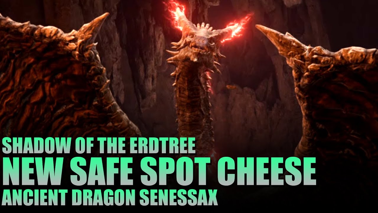 How to Beat Ancient Dragon Senessax Cheese - New Safe Spot | Elden Ring ...