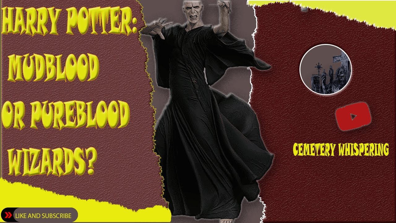 Blood Question: Half-bloods vs. Pure-bloods in the World of Harry ...