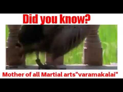 Indian movie varmakkalai - YouTube