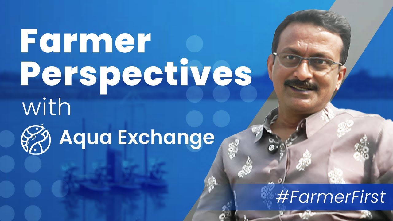 Shrimp Farming at Safe Aqua Farms | Andhra Pradesh | Digitally ...