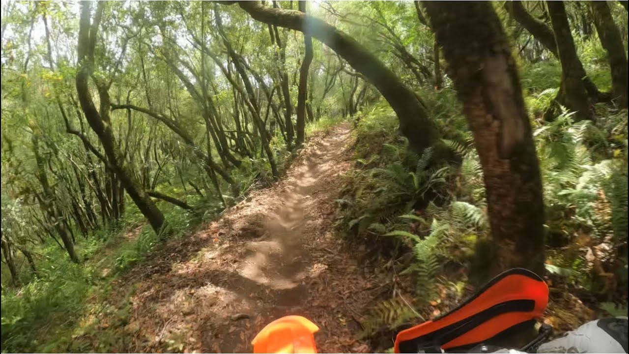 Hare Scramble at the club A/B loop Lap 2 6/8/24 - YouTube