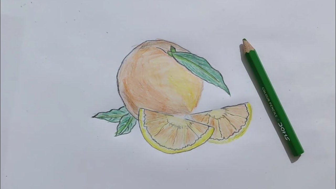 How to draw an Orange step by step | Easy Orange drawing | O for orange ...