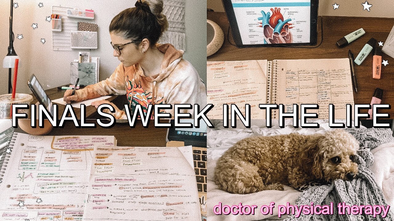 finals week in the life of a doctor of physical therapy student - YouTube