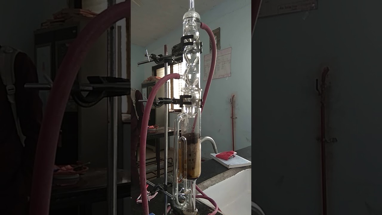 Soxhlet extraction process - YouTube