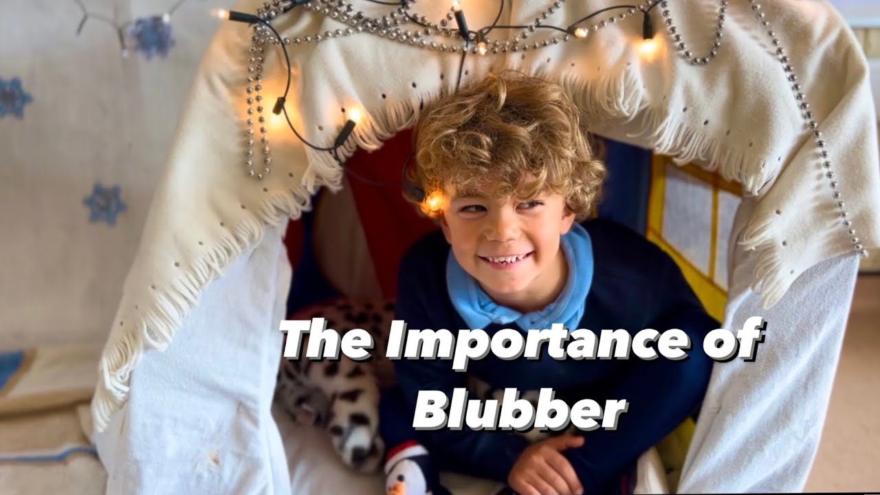 The Importance of Blubber in Cold Climate Animals - Junior Infants ...