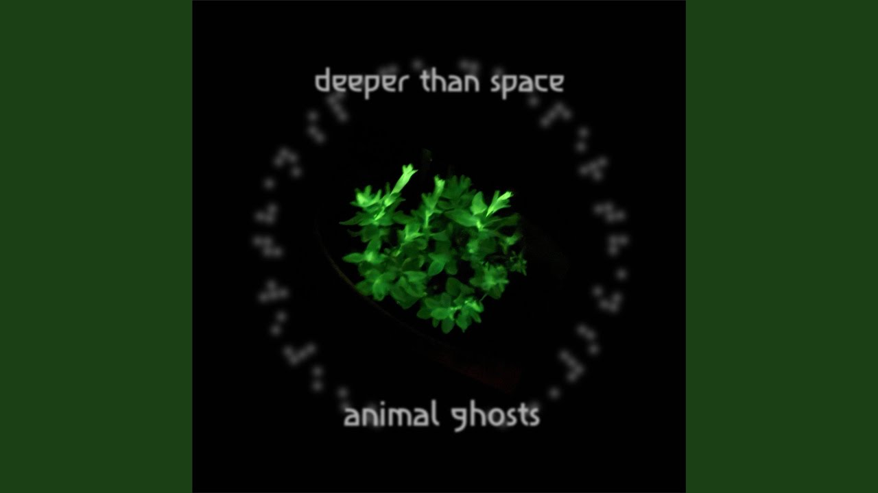 animal ghosts - YouTube