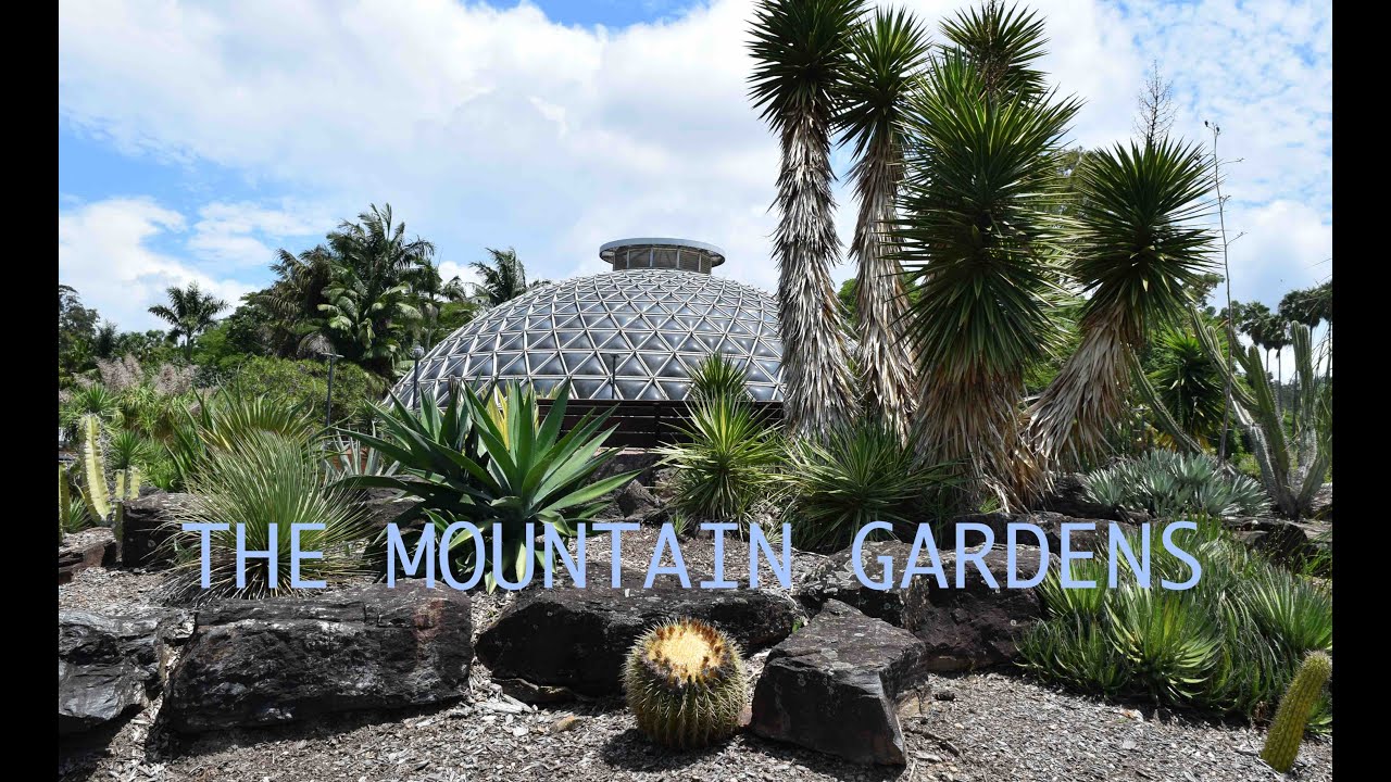 BRISBANE BOTANIC GARDENS, Mount Coot-tha, the mountain gardens - YouTube