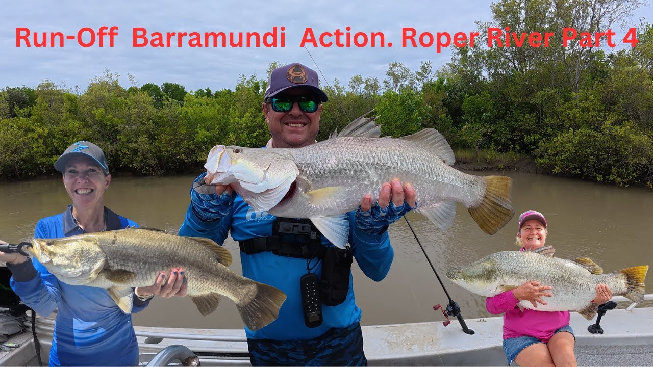 Barramundi Fishing during the Roper River Run-Off Part Four - YouTube