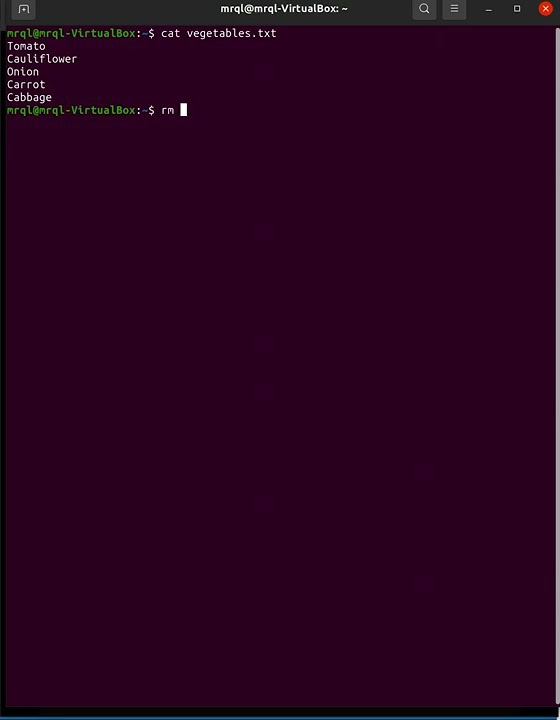 Linux/Ubuntu Tricks 💡 #77 #shorts - Place the arguments of recent ...