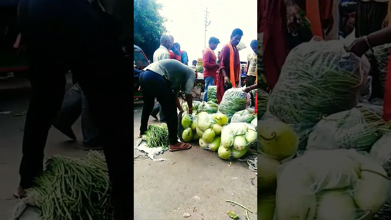 हल चलाए तूने Youtube