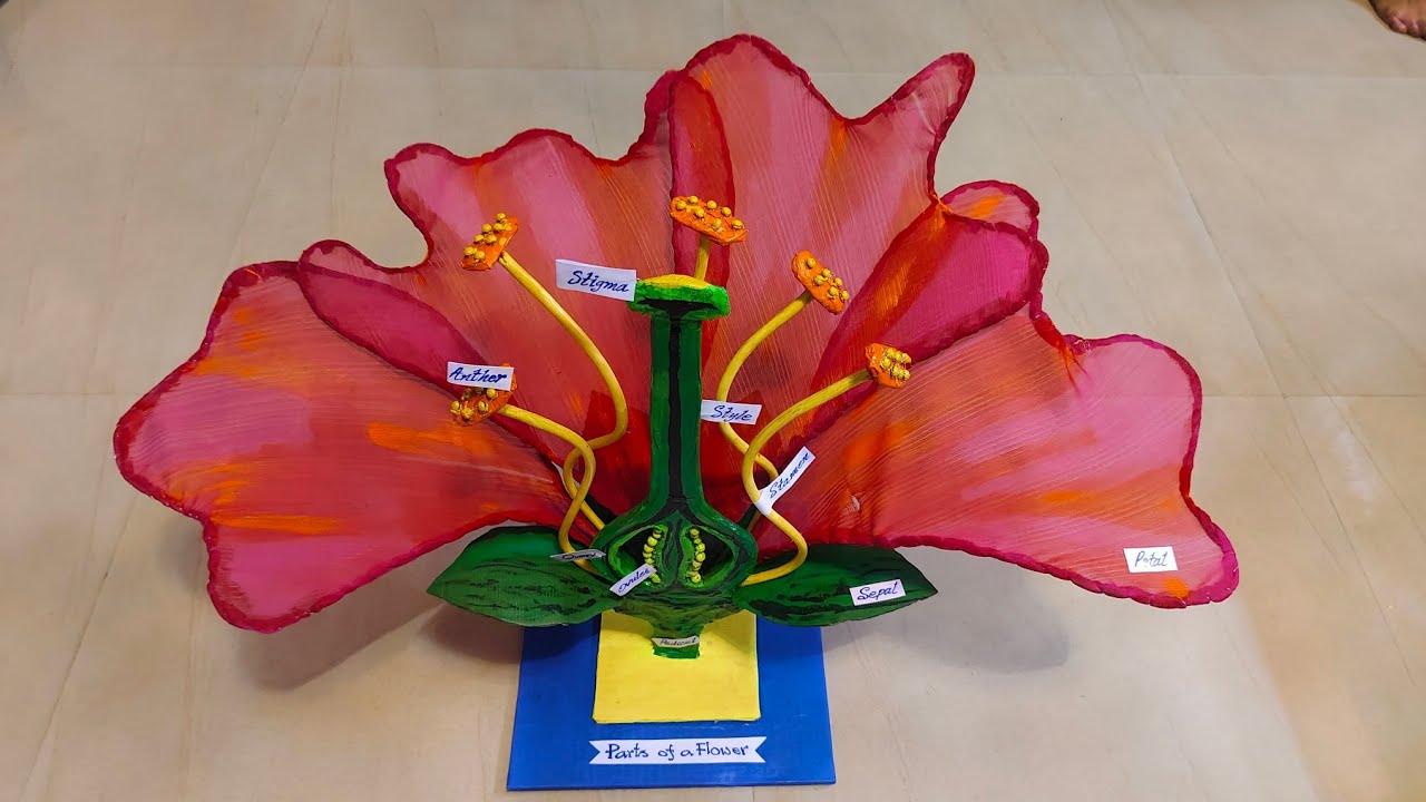 Making 3D model... PARTS OF FLOWER - YouTube