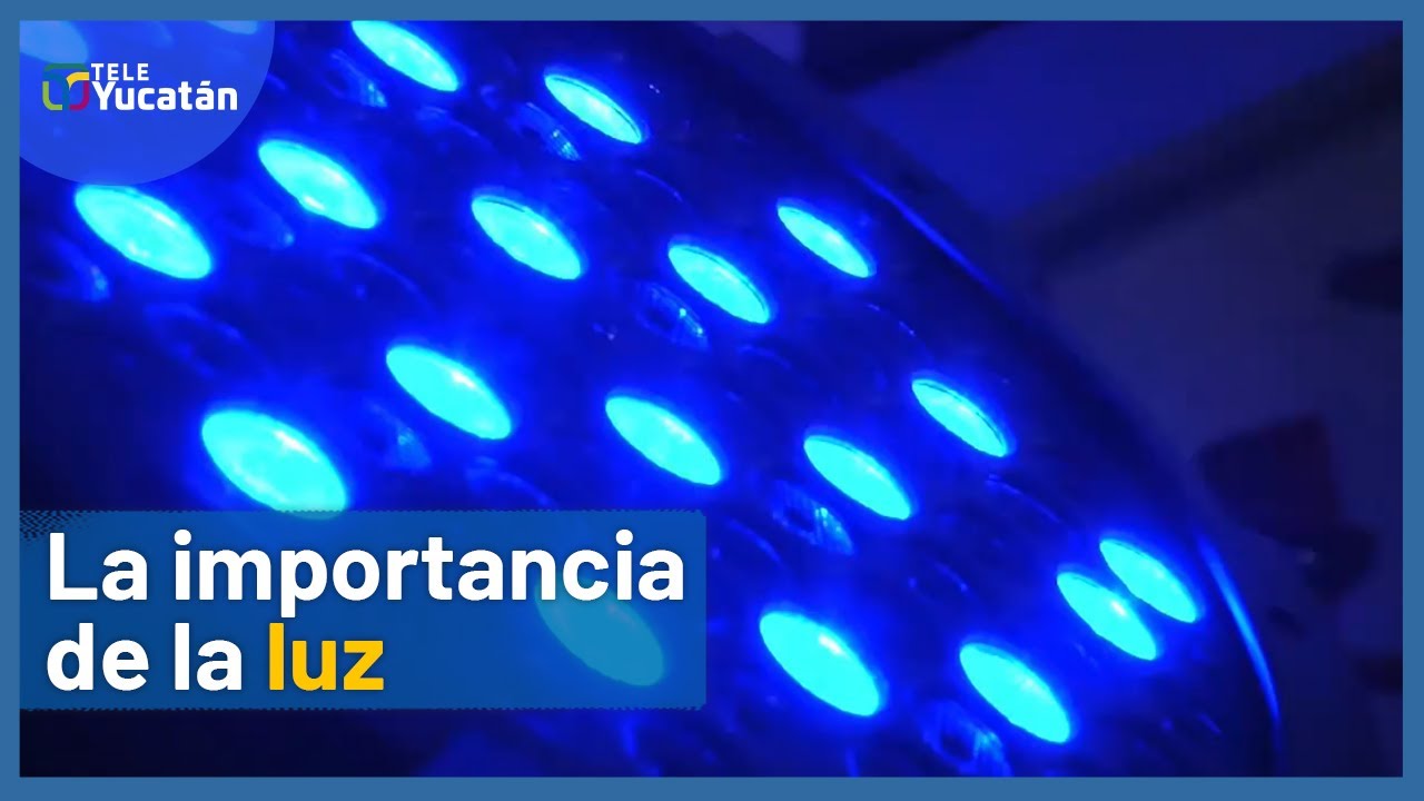 ¿Por qué es tan importante la luz en tu vida? | TELE Yucatán - YouTube