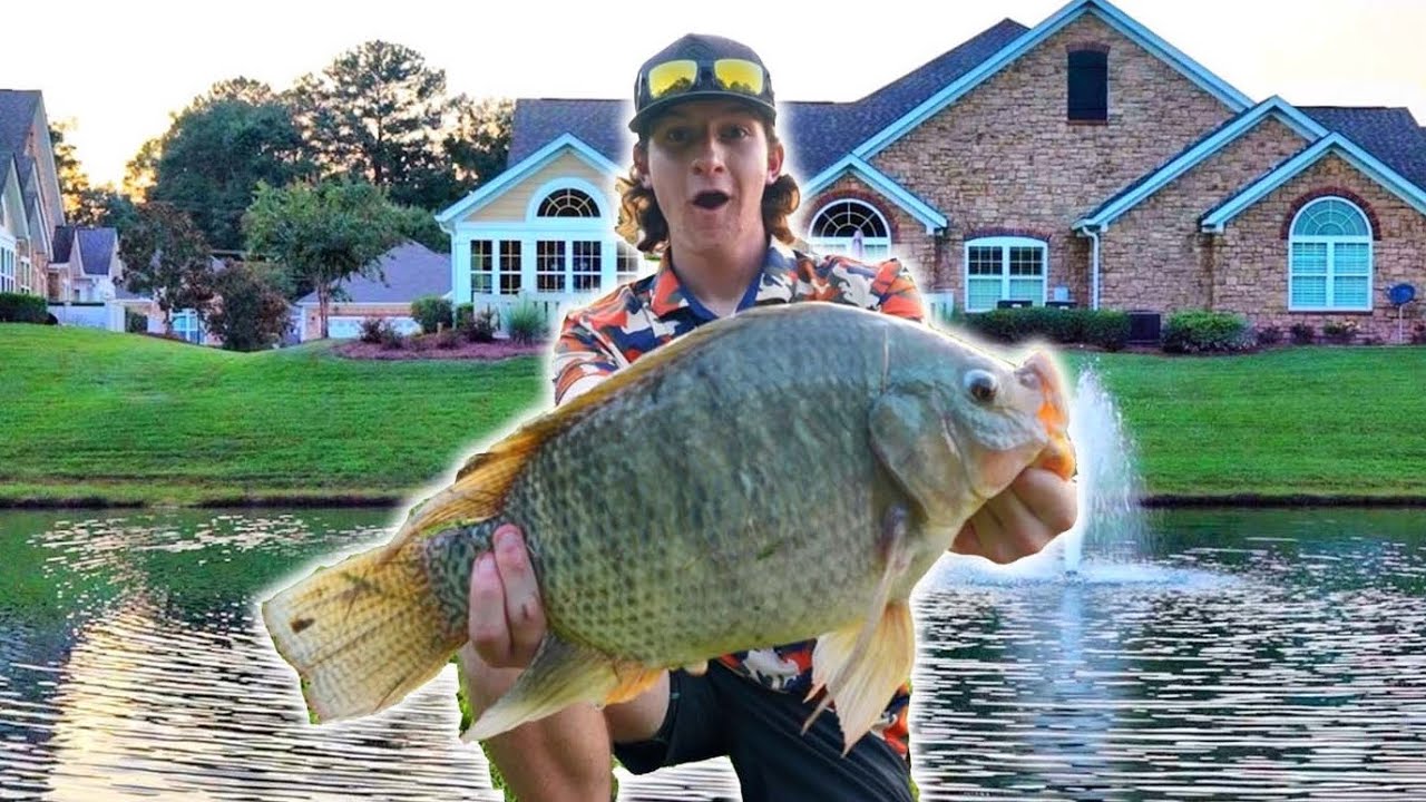 Catching NON-NATIVE Fish In LOADED Urban Ponds (New PB) - YouTube