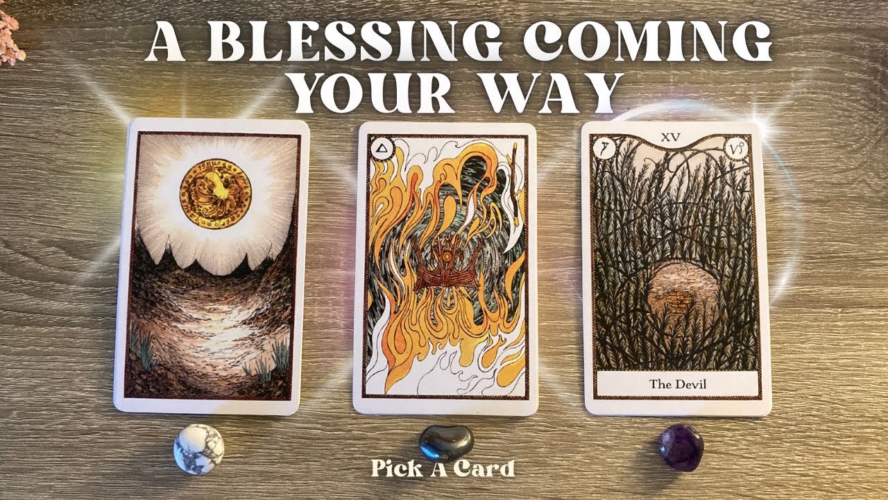 A BLESSING Coming Towards You!🎊🛎 *Timeless* Pick A Card | Tarot Reading ...