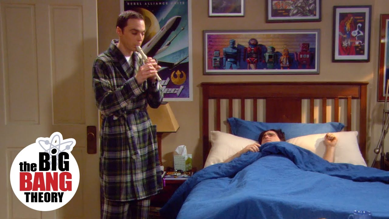 Sheldon Attempts To Persuade Leonard | The Big Bang Theory - YouTube