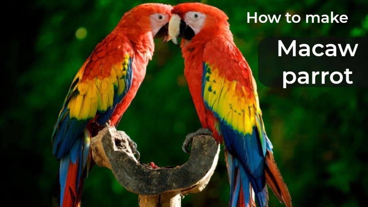 Thermacol Carving | Making Of Macaw Parrot In Thermacol | Styro foam ...