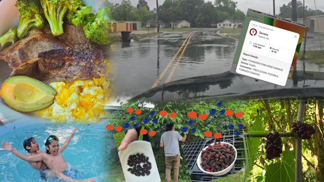 🚨Alerta de inundacion🌊 y tornado🌪 ♡ Es árbol de Frambuesa O Zarzamora ...