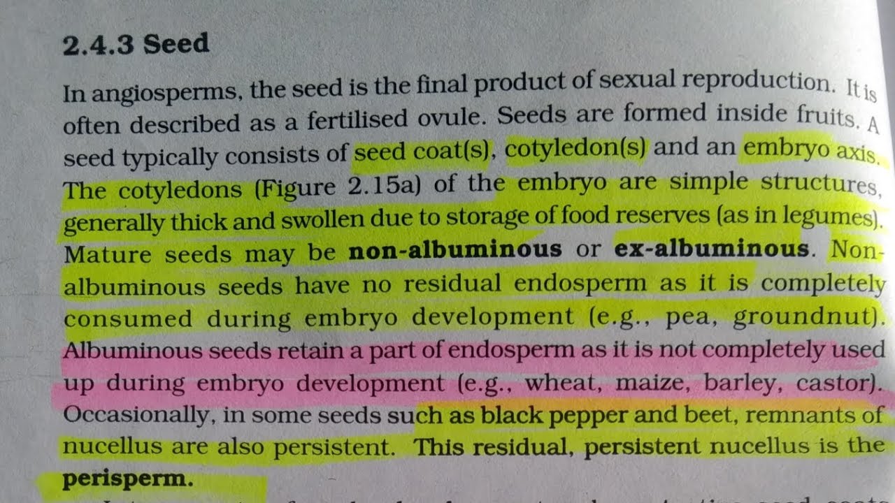 seed class 12 sexual reproduction in flowering plants - YouTube