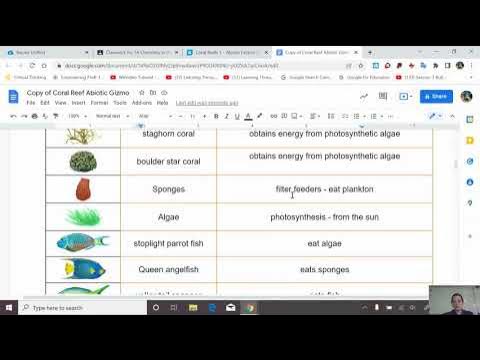 Coral Reef Abiotic Gizmo Walkthrough - YouTube