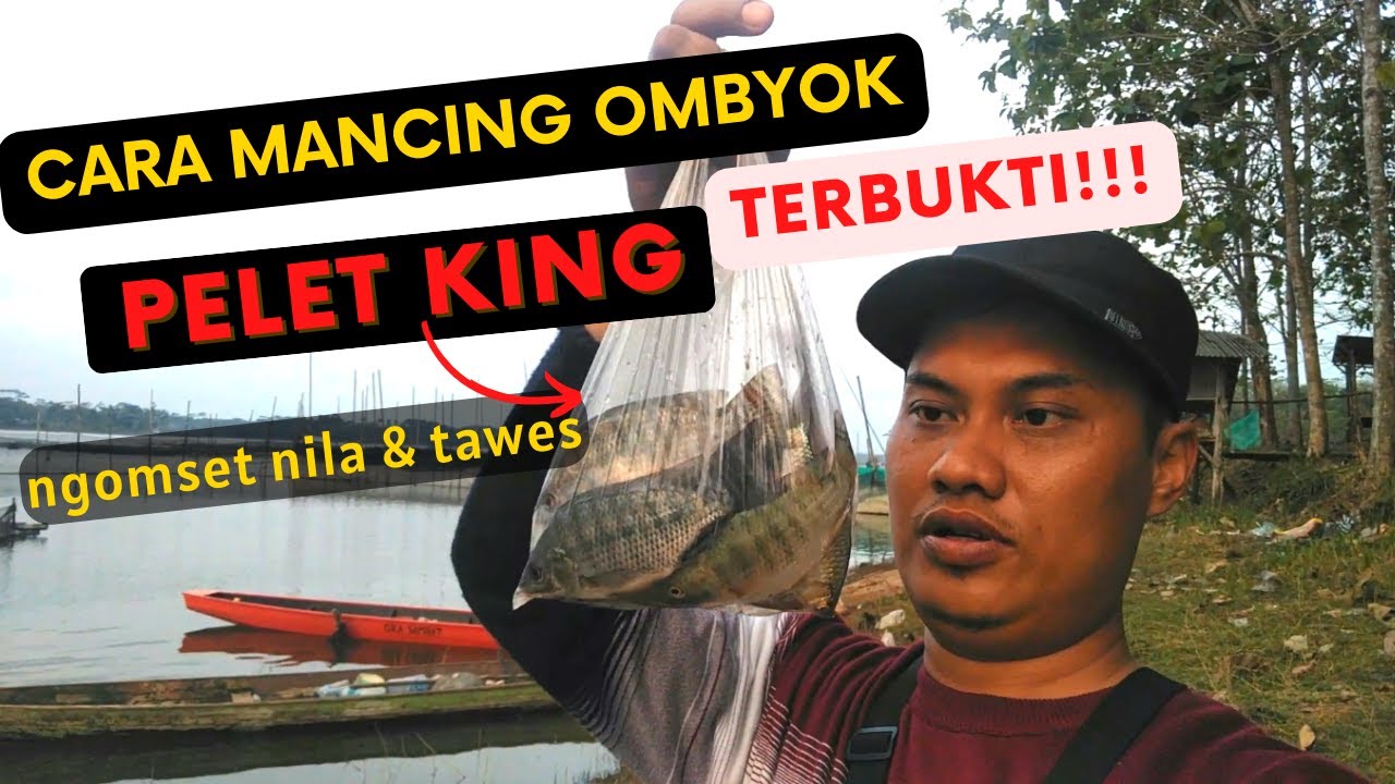 MANCING NILA RANGKAIAN OMBYOK DASARAN UMPAN PELET KING TERNYATA HASILNYA JOSS, STRIKE NILA DAN ...