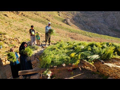Nomadic Life: Nomadic Green Shelter 🌿 | Nomadic Journey Through Dangerous Mountain Paths 🏔️