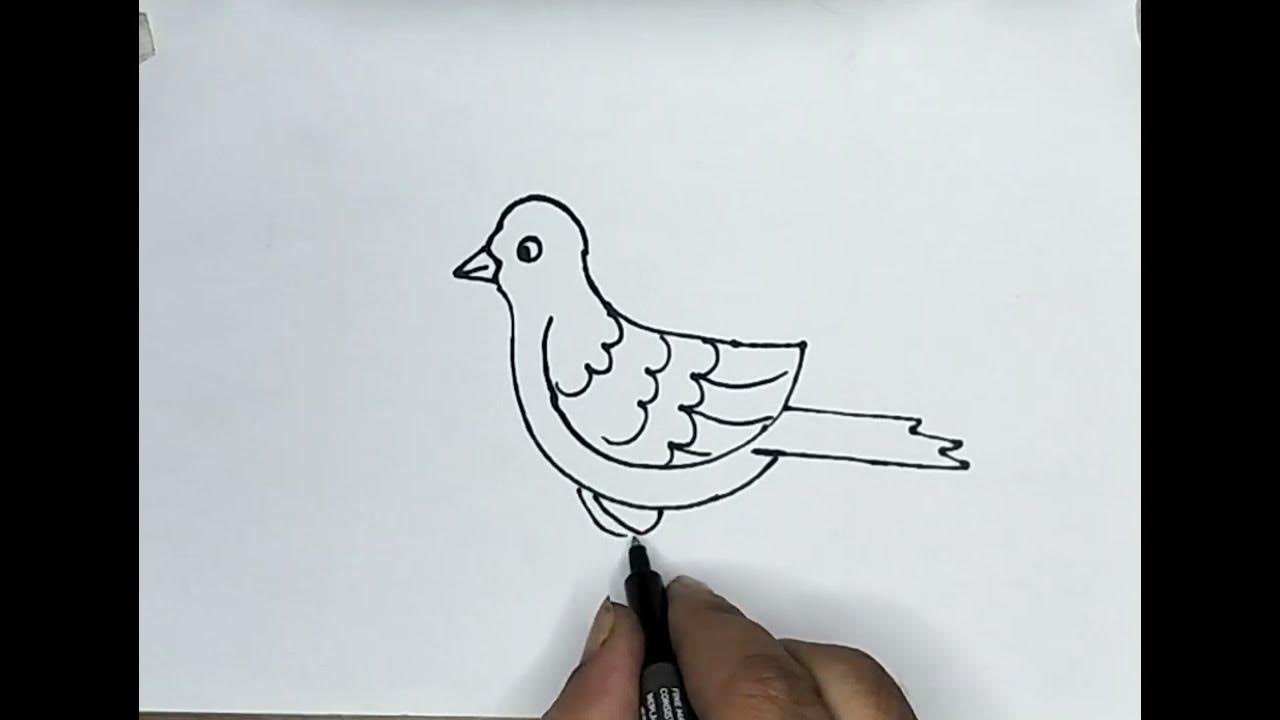 How to draw easy Birds Drawing Tutorial Step By Step - YouTube