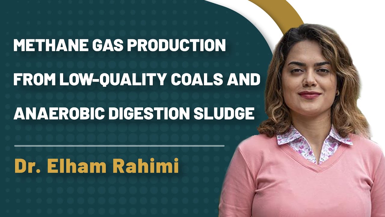 Methane Gas Production from Low-quality Coals and Anaerobic Digestion ...