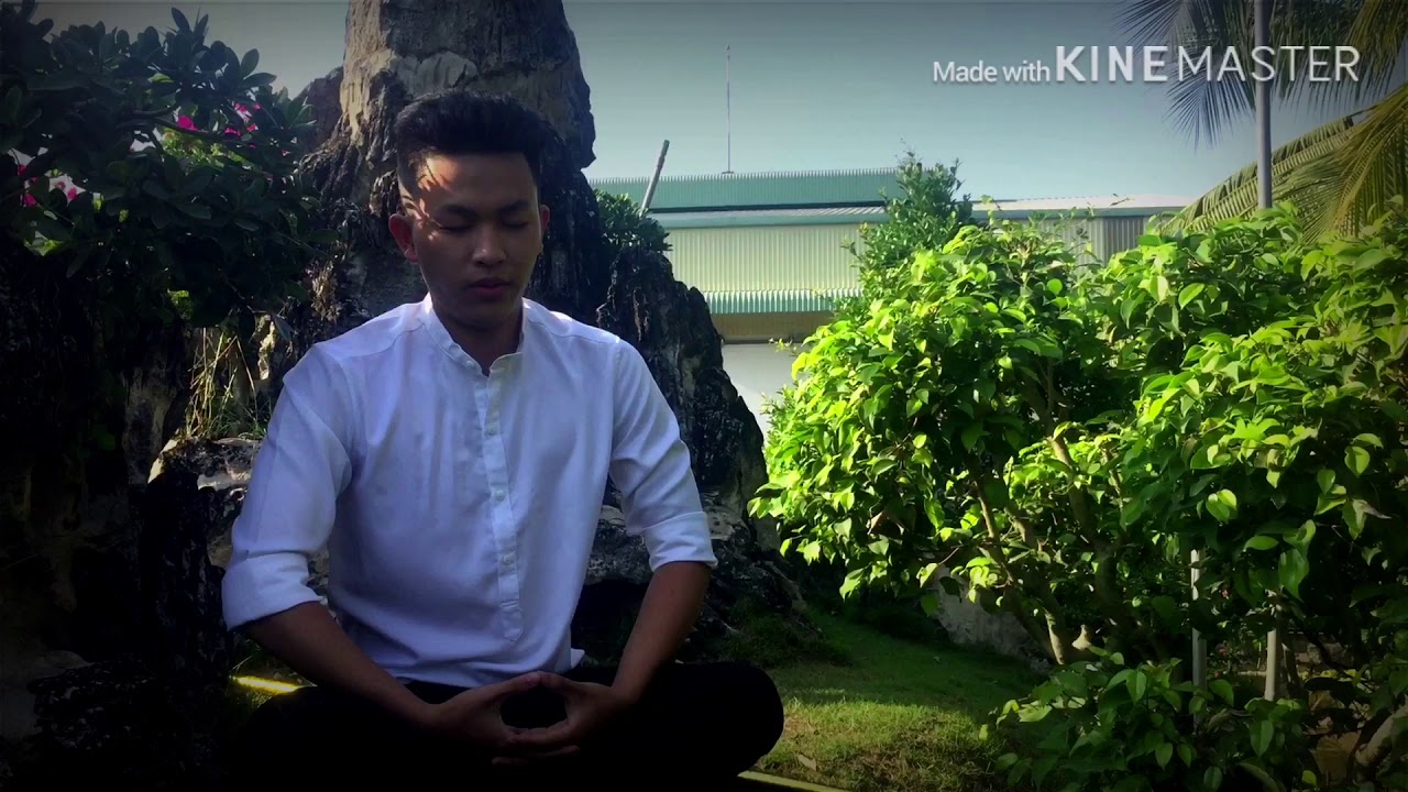 Nghệ sĩ chúc xuân Canh Tý 2020 phiên bản xàm - YouTube