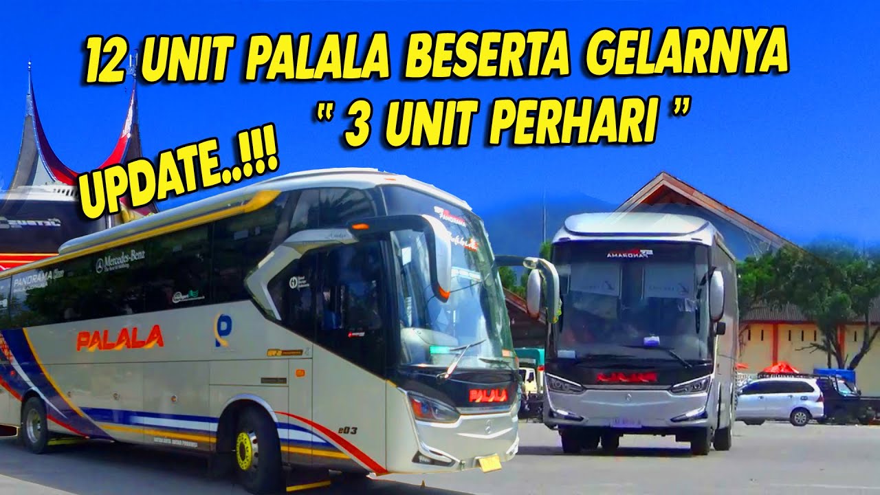3 UNIT PERHARI, PALALA LUAR BIASA || 12 UNIT BUS PALALA BESERTA ...