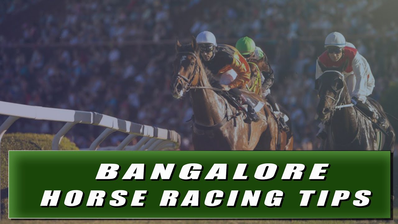 BANGALORE HORSE RACING TIPS [1st DECEMBER 2023] - YouTube