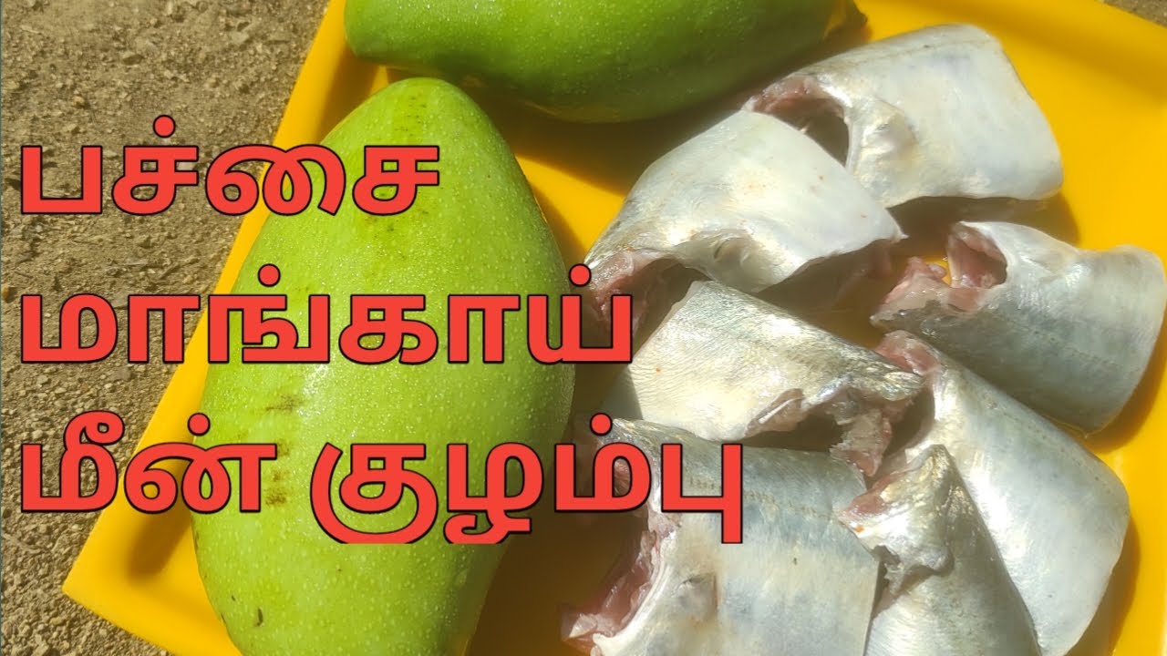 Raw Mango Fish Kulambu recipe | mango with fish recipe | fish recipes ...