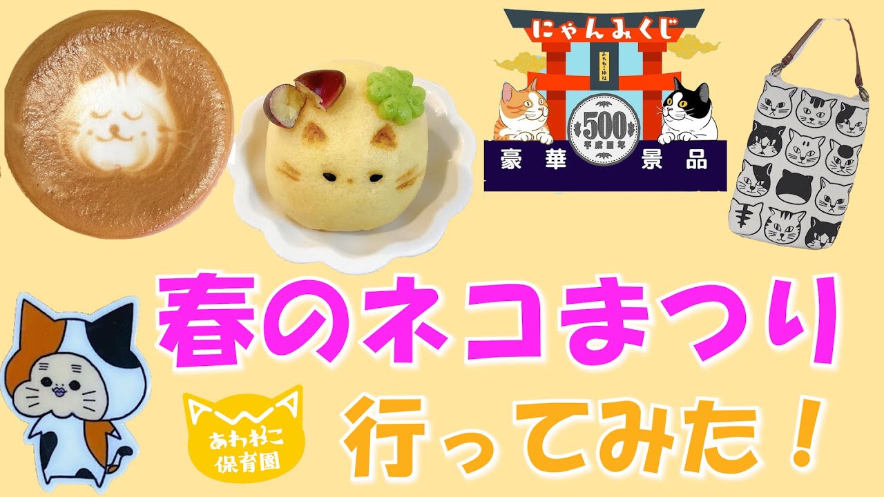 どこを見ても猫だらけ！ あわねこ保育園・春のネコまつりに潜入してみた♬ - YouTube