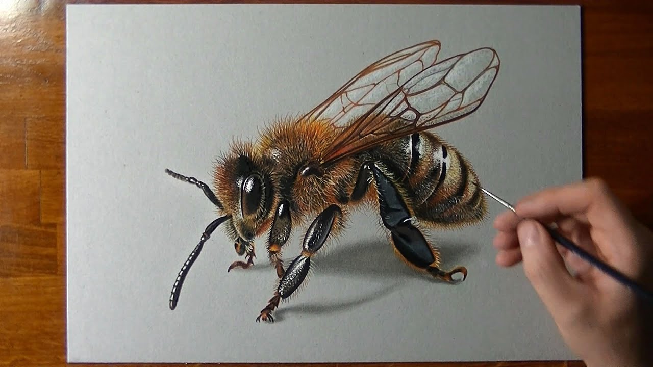 3 drawings... very realistic and made in less than 10 hours 😱 - YouTube