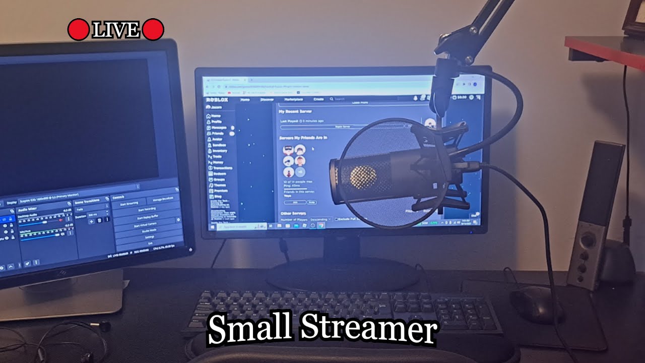 Day In a Life of a SMALL STREAMER! - YouTube
