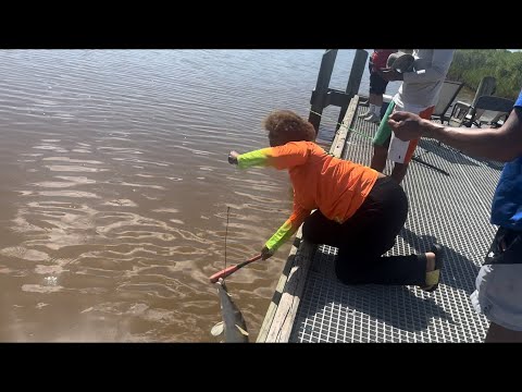 Alligator gar biting in the warm waters of Louisiana