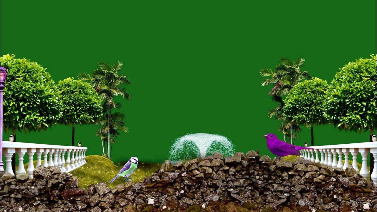 Garden Tree Free Green Screen Background Video Effects hd / Fountain ...