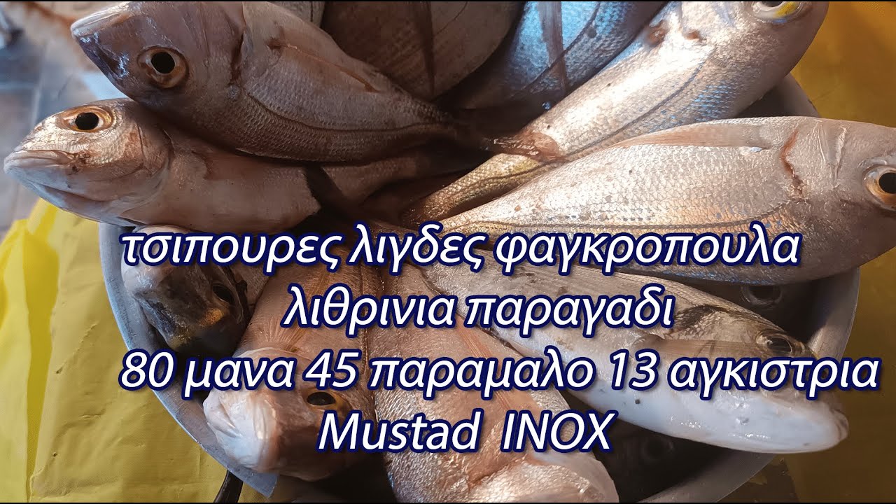 ΚΕΝΟΥΡΙΟ ΜΕΡΟΣ ΓΙΑ ΠΑΡΑΓΑΔΙΑ ΑΠΟ 5 ΜΕΤΡΑ ΜΕΧΡΙ 8 ΜΕΤΡΑ - YouTube