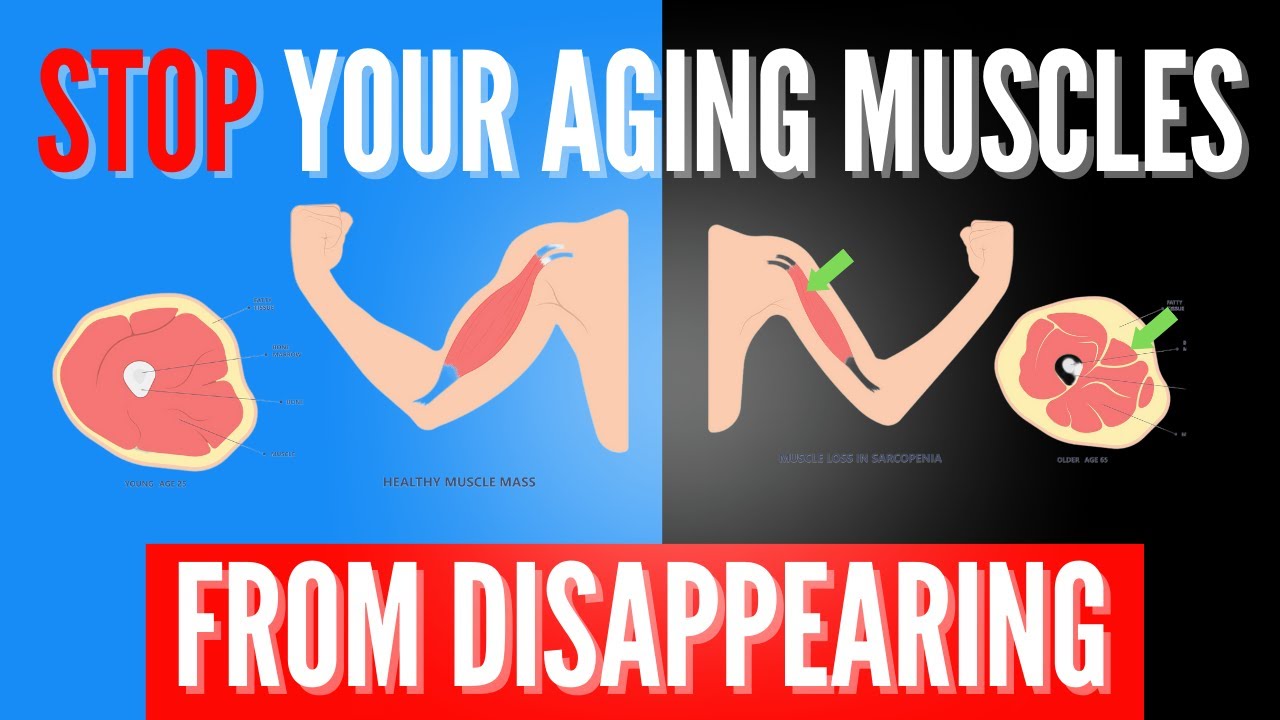 How to STOP Losing Muscle Mass After 50 — [Sarcopenia] - YouTube