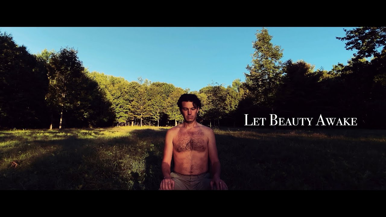 “Let Beauty Awake” Chapter 2 in The Songs of Travel by Vaughan Williams ...