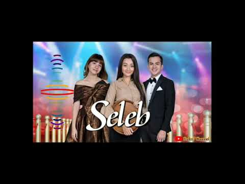 Lagu OST Seleb