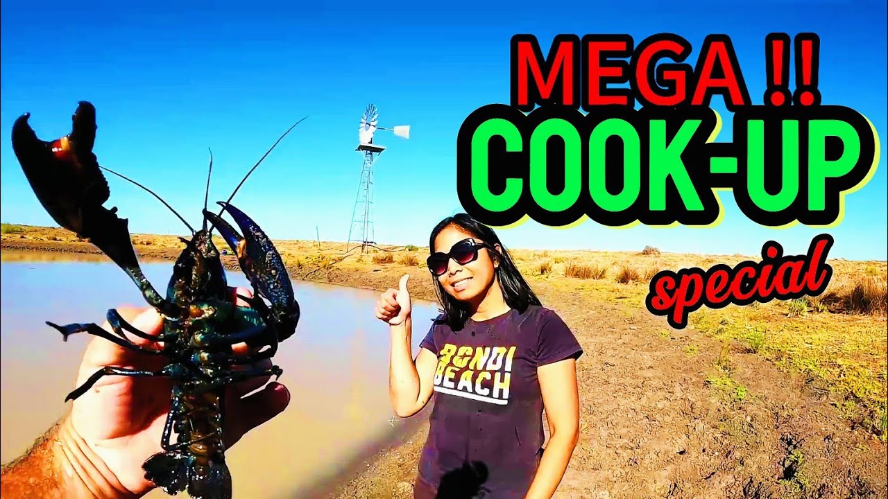 How to Cook CRAWFISH YABBIES CRAYFISH 26 Different ways..... - YouTube