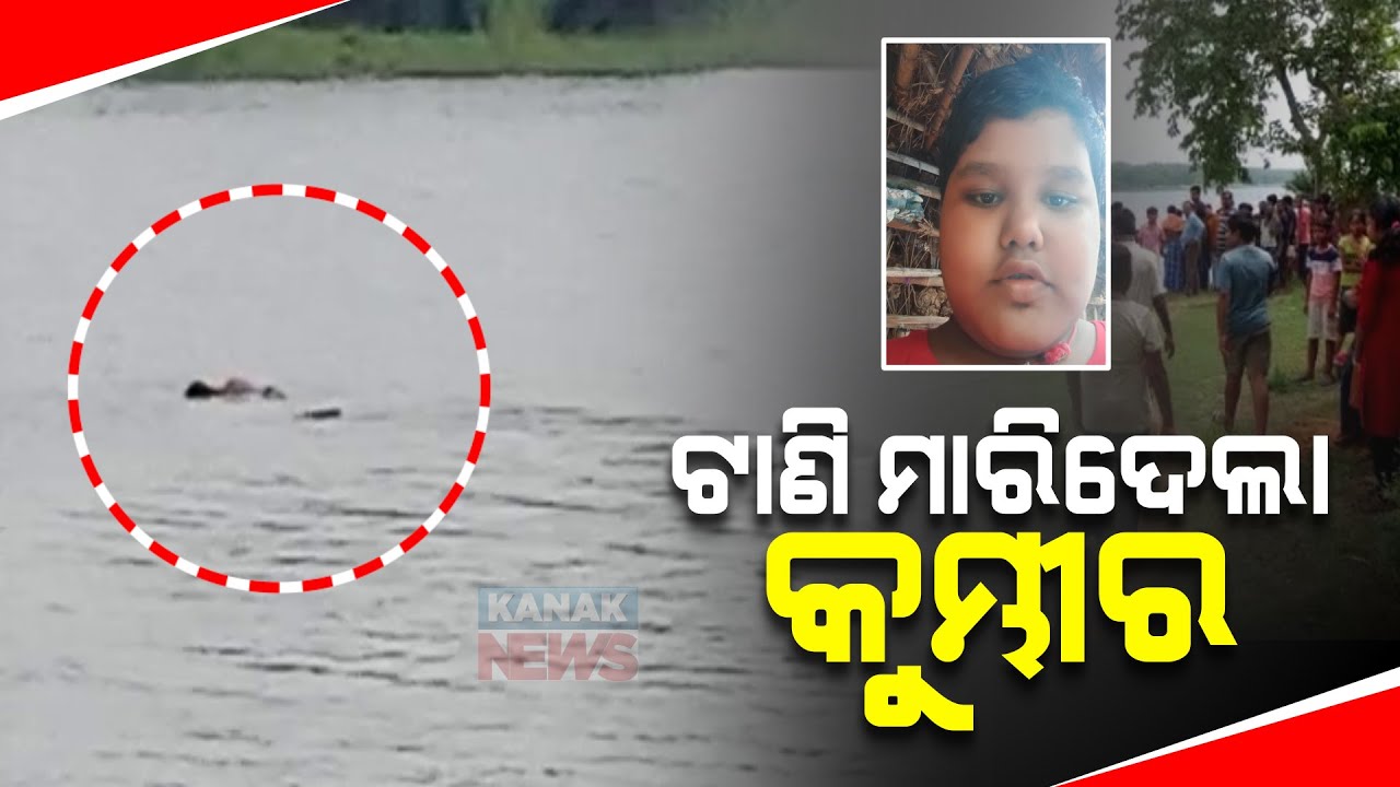 Crocodile Drags Minor Boy In Bramhani River Near Nimpur - YouTube
