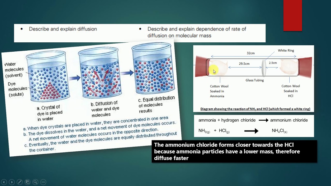 Diffusion| Chemistry| Biology| IGCSE| GCSE| AQA| O level| Cambridge ...