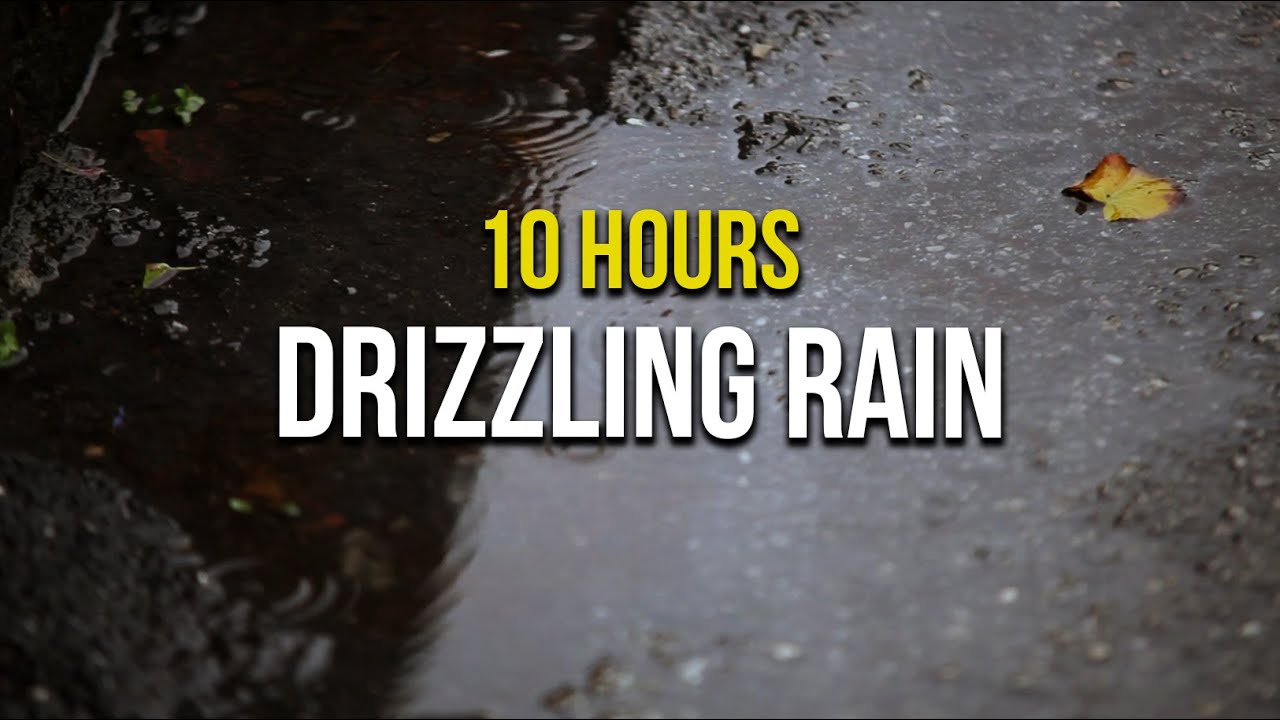 10 Hours Of Drizzling Rain - YouTube