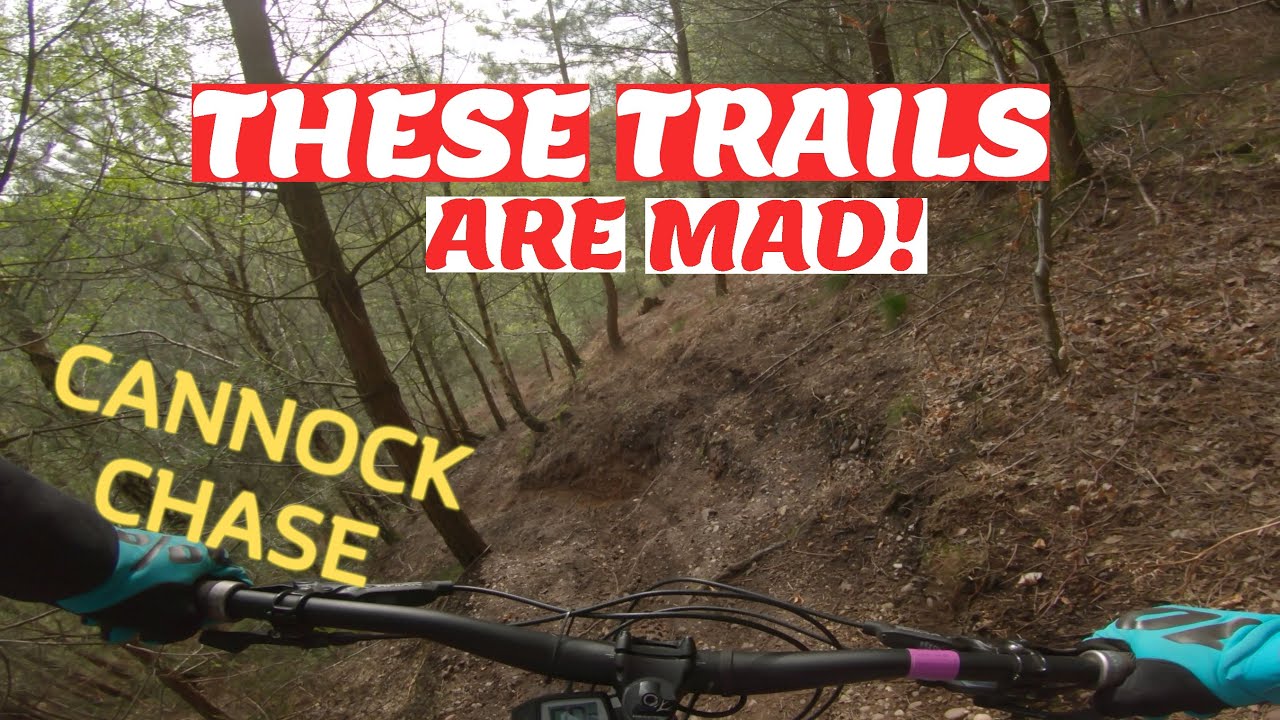 Cannock Chase Steepest Mountain Bike Tech Trails - YouTube